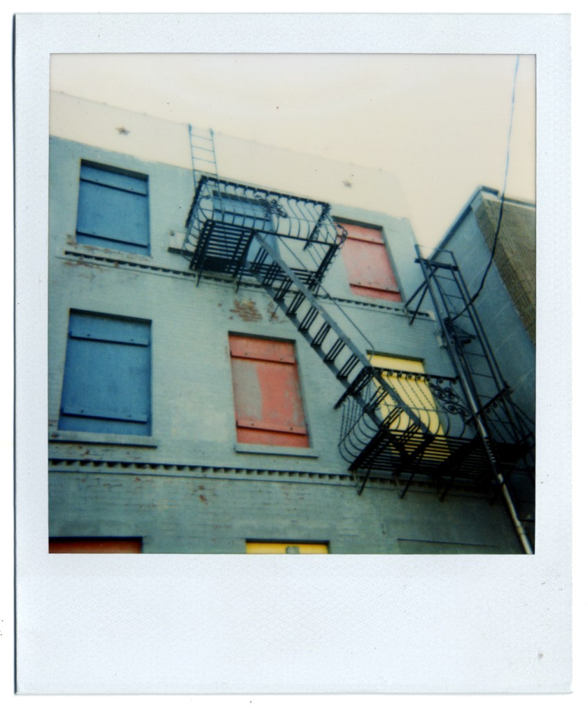 (Vintage) Real Polaroid Friday | Philip Stead Illustration | A Home for ...